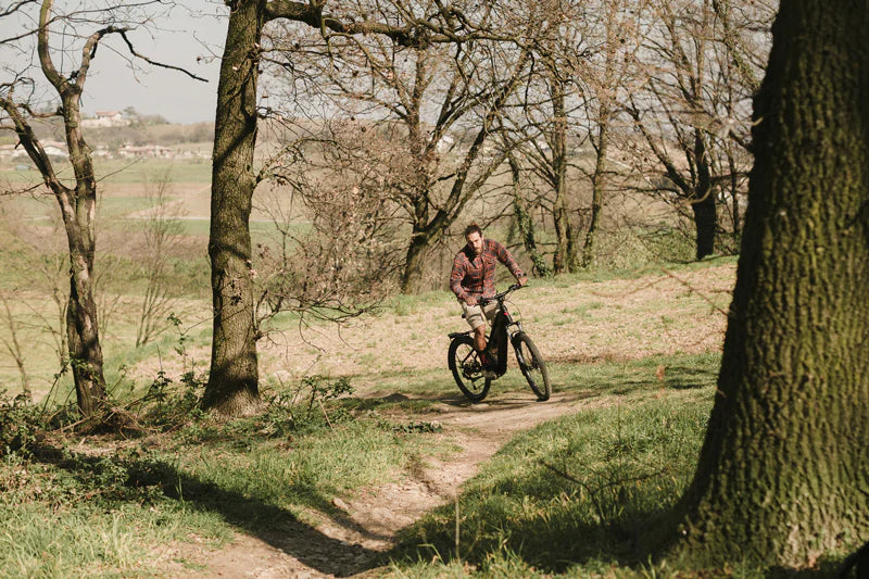 XPLORER The Full Suspension Trekking Ebike